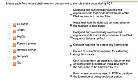 Solved Match Each Polymerase Chain Reaction Component To The Role That It Plays During Pcr