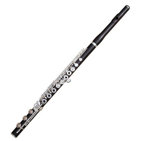 Trevor James Grenadilla Wood Flute Flute Specialists