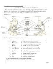 Microscope Lab Using The Microscope And Slide Preparation For Course Hero