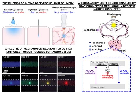An Ultrasound Mediated Intravascular Light Source The Hong Lab