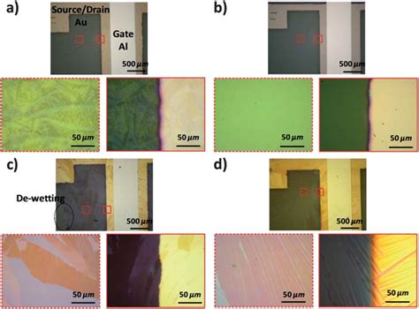 Tips Pentacene Polymer Blend Films Morphologies Of A Pams And B Ptaa