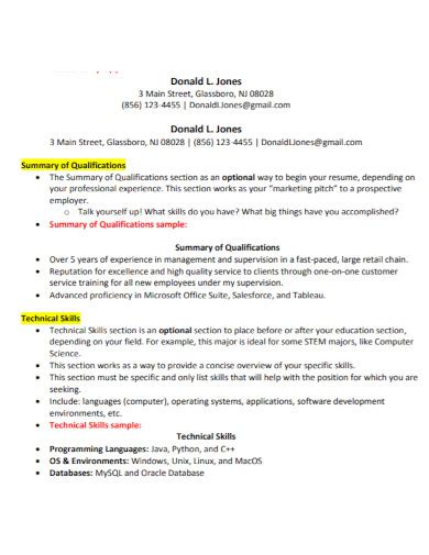 100 Resume Summary Examples