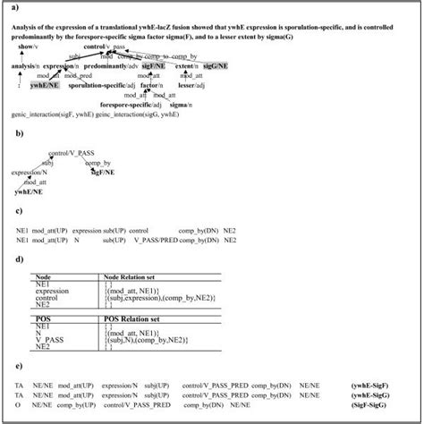 Data Representations The Shortest Path Representation Between Ne Pairs
