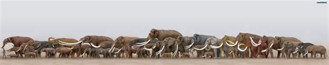 Proboscideans By Sameerprehistorica On Deviantart