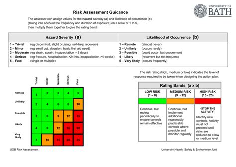 Epilepsy At Work Risk Assessment Template