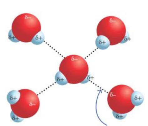 Intermolecular Attractions Flashcards Quizlet