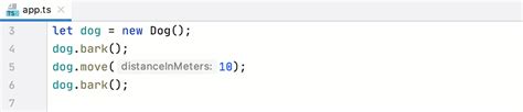 TypeScript IntelliJ IDEA