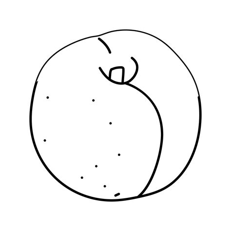 Ripe Nectarine Line Icon Vector Illustration 19572907 Vector Art At Vecteezy