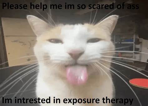 Please Help Runity
