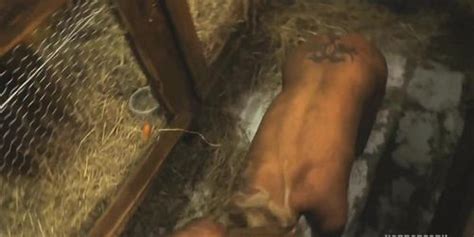 Horrorporn Rabbit Hutch