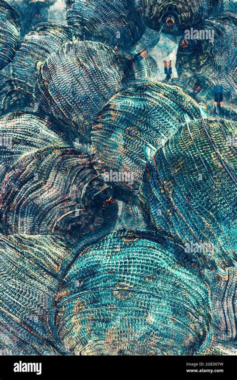 Computer Assisted Illustration Great For Book Cover Design Background