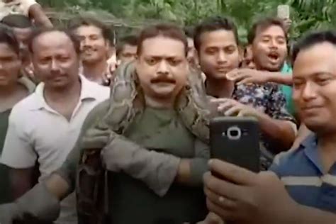 Forest Ranger Seeking Selfie Choked By Python Snake In India