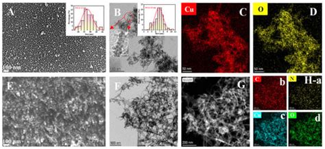 Biosensors Free Full Text A Novel Molecularly Imprinted Sensor Based On CuO Nanoparticles