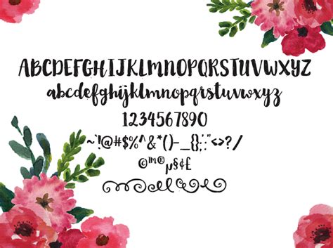 Abigail Brush Font Hand Drawn Cursive Script Commercial Download Etsy How To Draw Hands