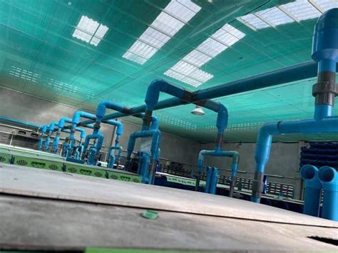 កសិដ្ឋានចិញ្ចឹមក្តាមថ្មយកពងនិងសាច់លក្ខណៈទំនើបស្ថិតក្នុងភូមិ១ឃុំកំពេញស្រុកស្ទឹងហាវខេត្តព្រះសីហនុ