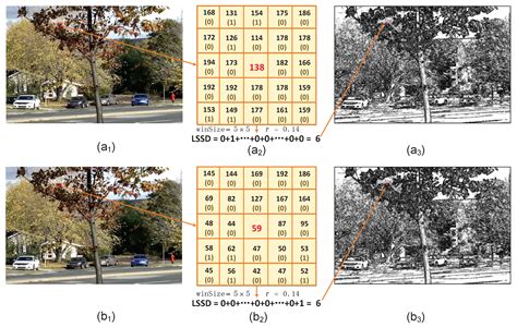 Robust Background Subtraction Via The Local Similarity Statistical