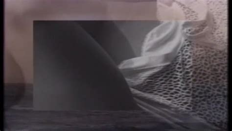 Sensuous Scenes Of Hollywood Player Entertainment Adult Dvd Empire