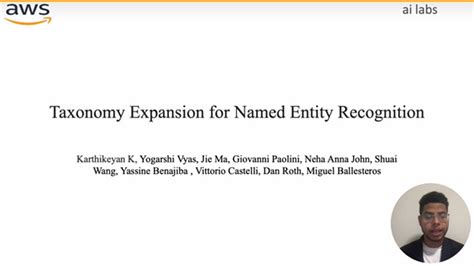 underline taxonomy expansion for named entity recognition video