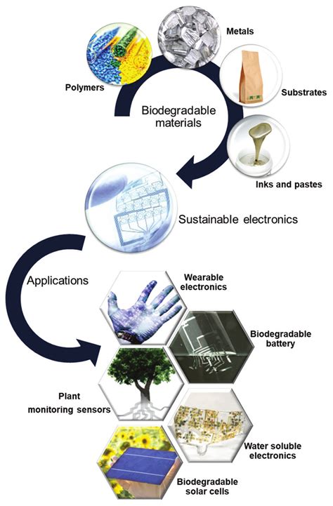 Schematic Diagram Illustrating Various Categories Of Biodegradable Download Scientific Diagram
