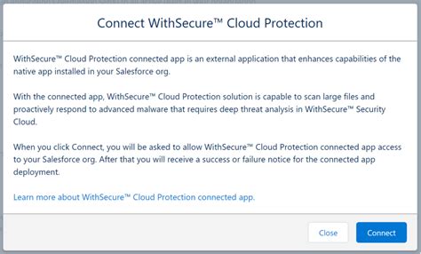 Setting Up The Connected App For Salesforce Protection
