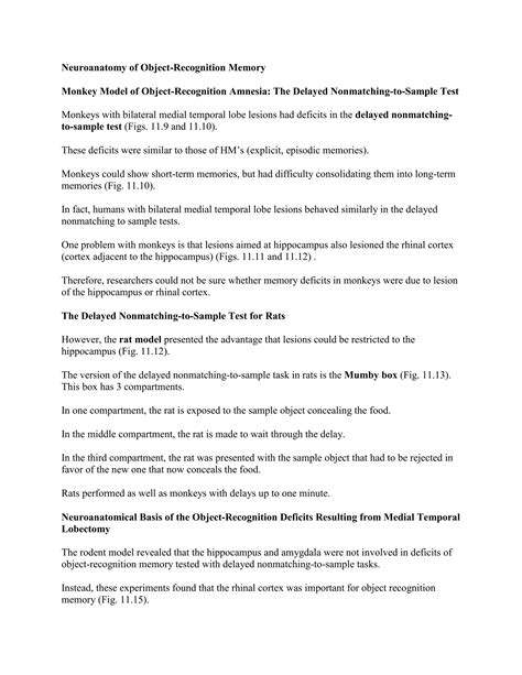 Neuroanatomy Of Object Docx