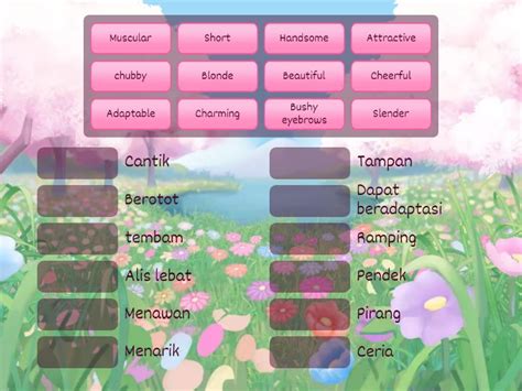 Descriptive Text Adjective Match Up