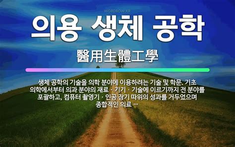 🌟의용 생체 공학 생체 공학의 기술을 의학 분야에 이용하려는 기술 및 학문 기초 의학에서부터 의과 분야 표준국어대사전