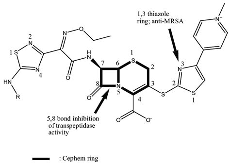 Structure Activity Relationships For Active Ceftaroline R H The Download Scientific Diagram