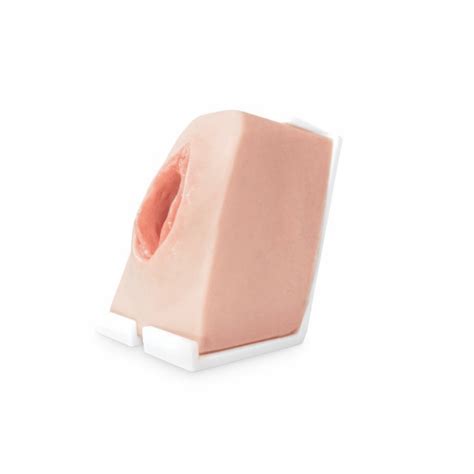 Cervical Cerclage Model Medicfx