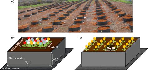 Figure 1 From Functional Trade Offs Increase Species Diversity In