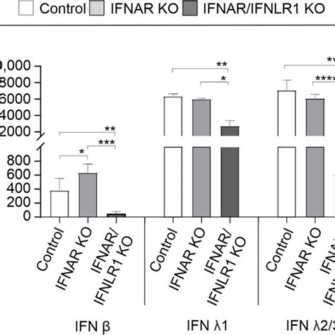 In The Absence Of Type I And Iii Ifn Signaling The Glycolysis