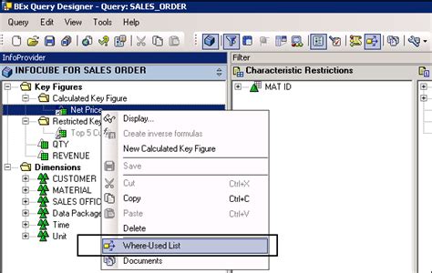 Sap Bex Quick Guide