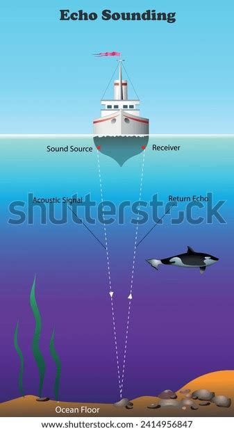 Echo Sounding Diagram Basic Principle Echo Stock Vector Royalty Free Shutterstock