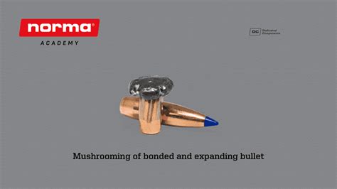 Guide To Expanding Bullet Design And Construction Norma Precision