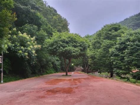 장수 방화동자연휴양림 And 가족휴양동 체험 후기 네이버 블로그