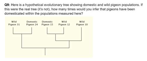 Solved Q8 Which Of The Evolutionary Trees Below Show Similar