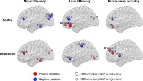Results Of Regression Analyses Of Nodal Efficiency Local Efficiency