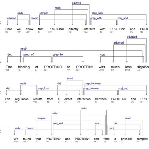 dependency relations for the example sentences download scientific