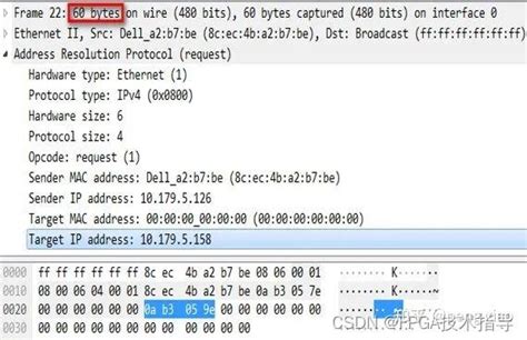 FPGA工程师必备技能 Ethernet接口 千兆以太网 以太帧详解 知乎