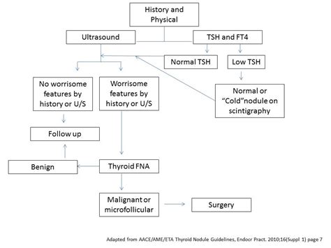 Thyroid Nodules And Thyroid Cancer Cancer Therapy Advisor