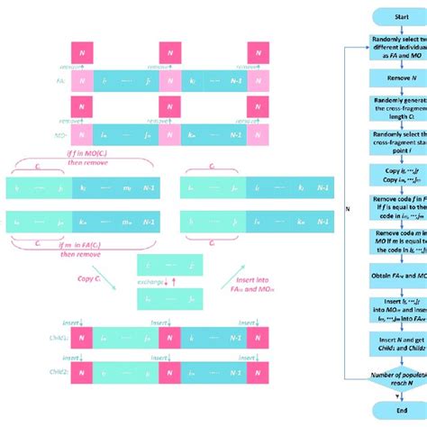 The Schematics And The Flowchart Of The Crossover Operator Download