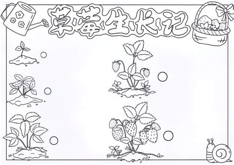 植物成长的过程简笔画可打印（汇总13张） 简笔画图片大全