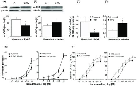 Contribution Of Antioxidant Systems On Contractile Responses To Download Scientific Diagram