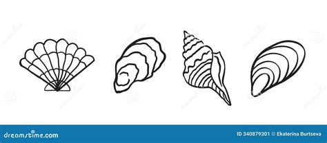 Doodle Ink Seashells Vector Set Hand Drawn Illustration On White
