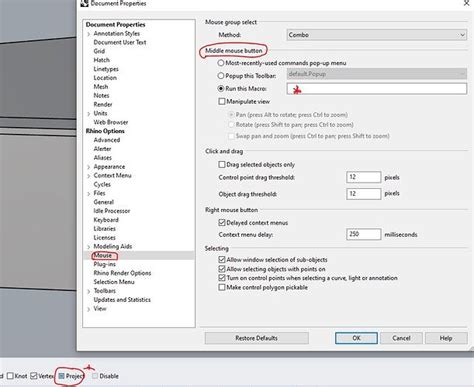 Rhino Middle Mouse Turn On Off Project Snap Rhino McNeel Forum