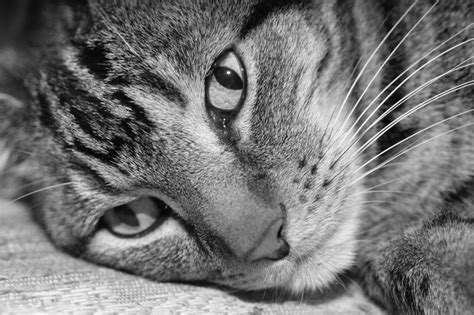 what is dithering in image processing