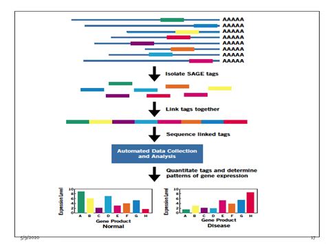 Functional Genomics And Tools Pptx Biotech And Biomedical Industry Industries