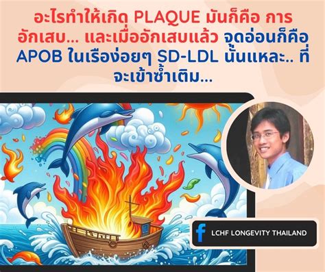 Advanced อะไรทำให้เกิด Plaque มันก็คือ การอักเสบ และเมื่ออักเสบแล้ว จุดอ่อนก็คือ Apob ใน