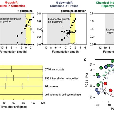 Experimental Design And Data Consistency Download Scientific Diagram