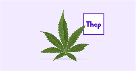 Thcp Products Get Your Mind Blown By Hemp